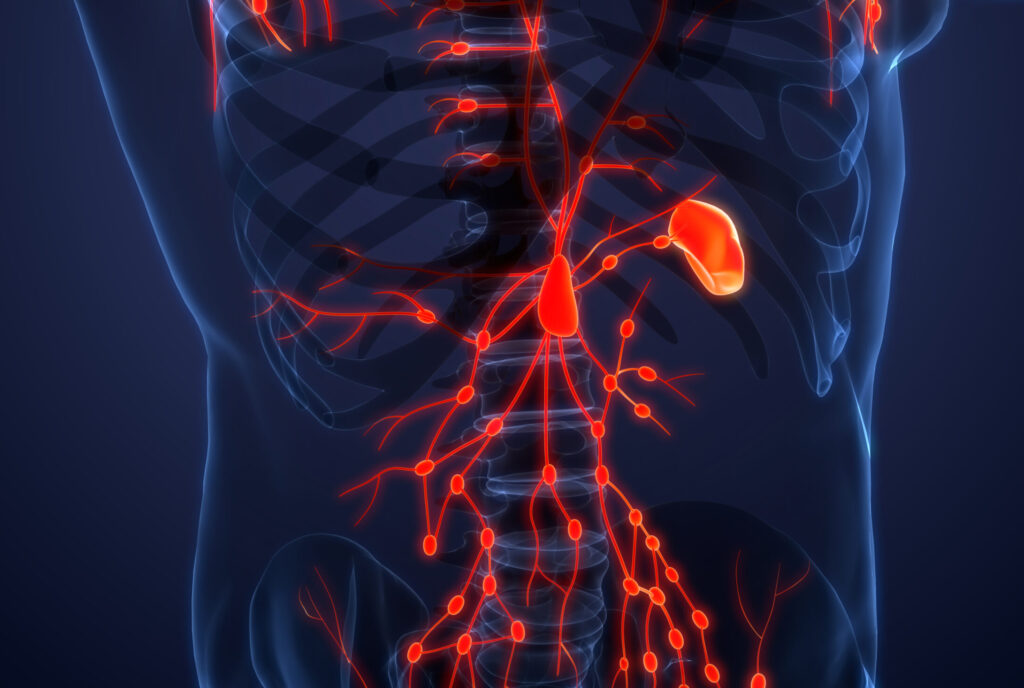 Anatomies - XACT Robotics